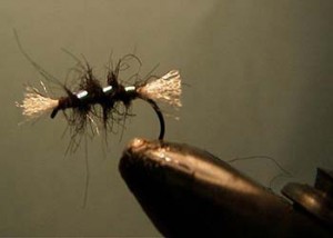 Shipman Buzzer | Troutflies UK