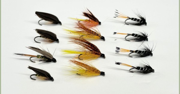 Wet trout fishing flies, lochs rivers - Troutflies UK