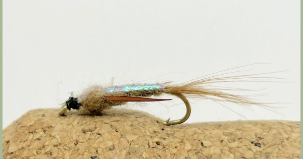 Black Evil Weevil -Troutflies UK