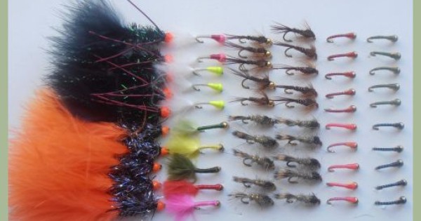 60 Pack of Specific Winter Trout Patterns