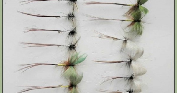 Mayfly Fishing Flies Variety Packs - Troutflies UK