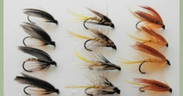 Barbless wet fly packs - Troutflies uk