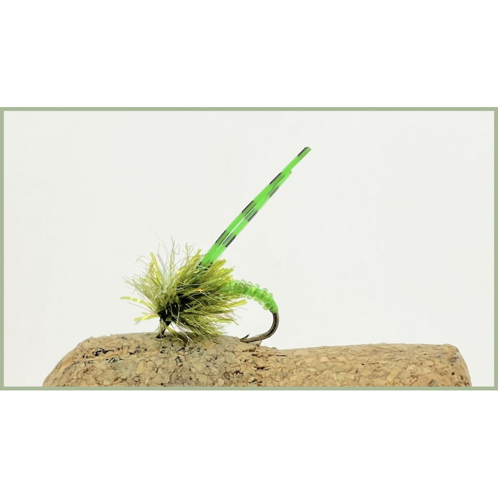 Stalking bug, Olive-Troutflies UK