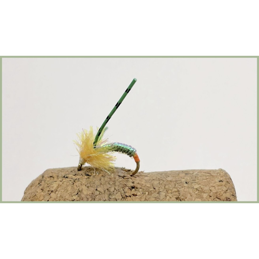 Stalking bug, Orange -Troutflies UK