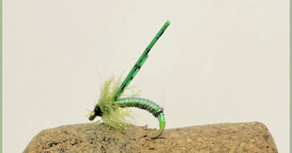 Stalking Bugs - Troutflies UK