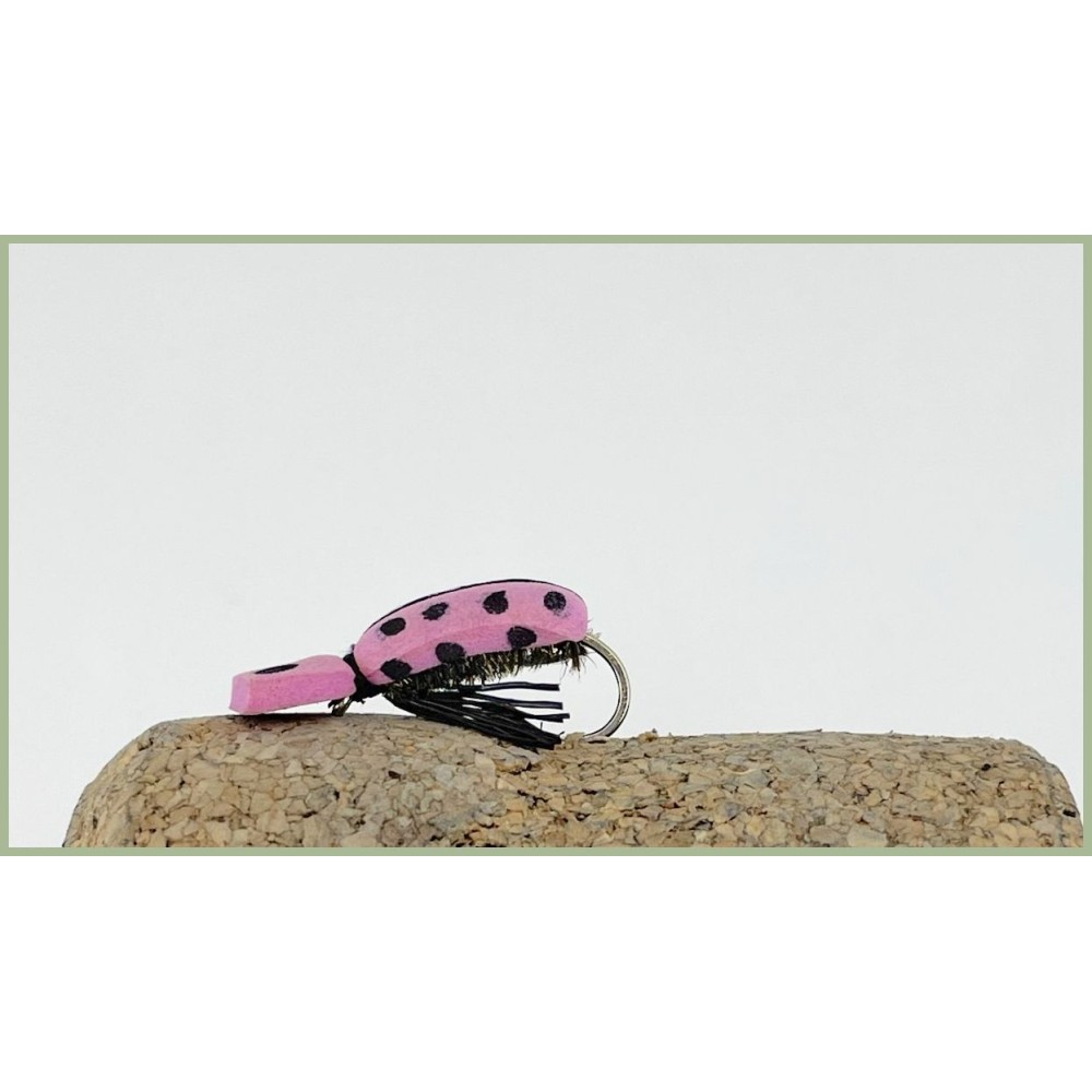 Beetle Fishing Flies, Boxed Set - Troutflies UK