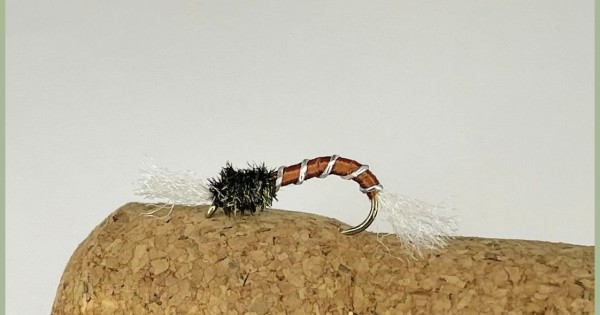 Brown Buzzer - Troutflies UK