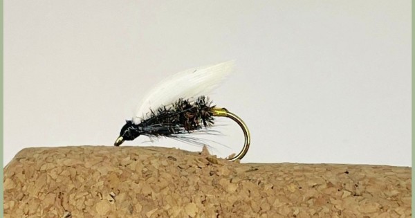 Coachman Wet Fly, fly fishing Troutflies UK