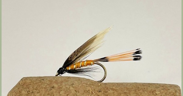 Grouse and Orange Wet Fly, fly fishing Troutflies UK