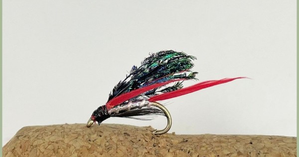 Alexandra wet trout fly loch fishing Troutflies UK