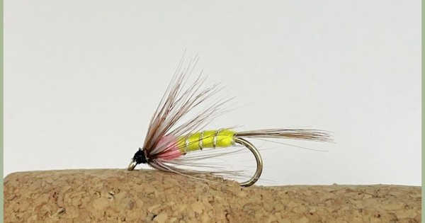 Tups indispensible Wet Fly fly fishing Troutflies UK
