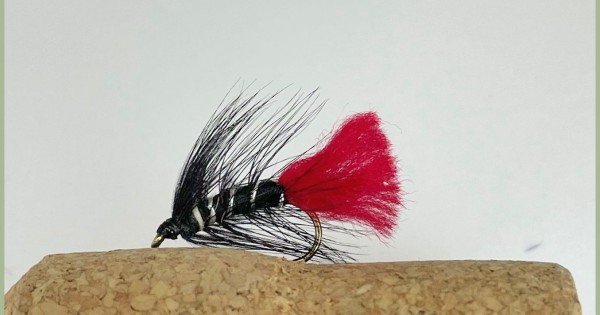 Zulu wet fishing fly river fly fishing Troutflies UK
