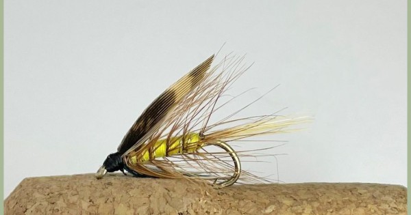 Invicta Wet Fly, fly fishing Troutflies UK