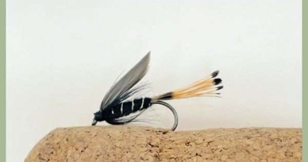 Blae and Black Wet Fly Wet fishing fly Troutflies UK