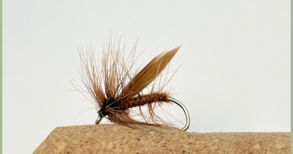 Cinnamon Sedge Fly - Troutflies UK