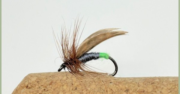Grannom Caddis Trout Fishing Fly Troutflies UK