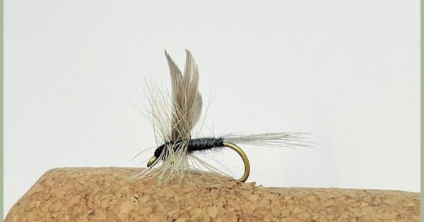 Blue Dunn early season dry fishing fly - Troutflies UK