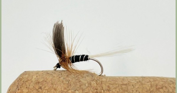 Barbless black spinner dry fly summer fishing fly Troutflies UK