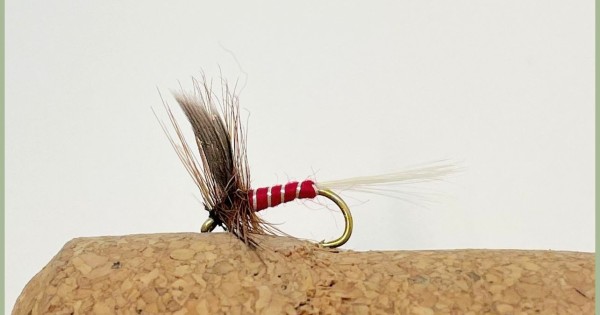 Barbless Red spinner dry fly summer fishing fly Troutflies UK