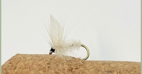 White Moth dry trout fly Troutflies UK