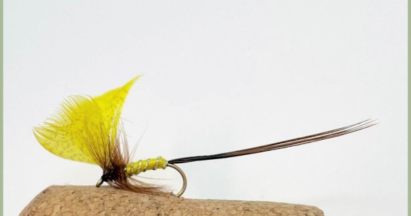 Yellow Drake Mayfly Trout Fishing Fly Troutflies UK