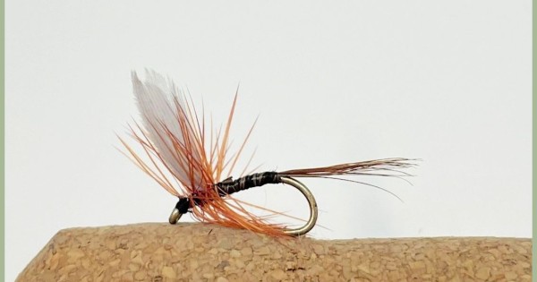 Ginger Quill Dry Fly, summer dry flies - Troutflies UK