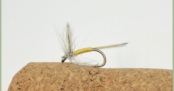Pale Morning Dun Fishing Fly - Troutflies UK