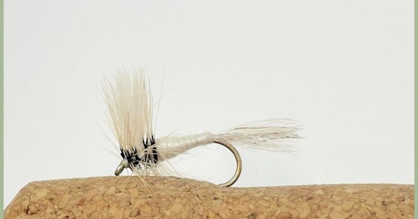 White Wulff Mayfly trout Fishing Fly Troutflies UK
