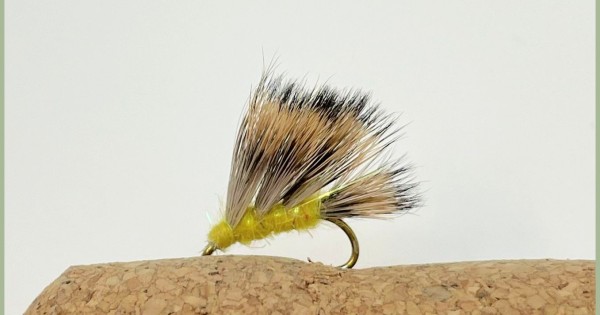 Yellow Sedgehog Fishing Fly Troutflies UK
