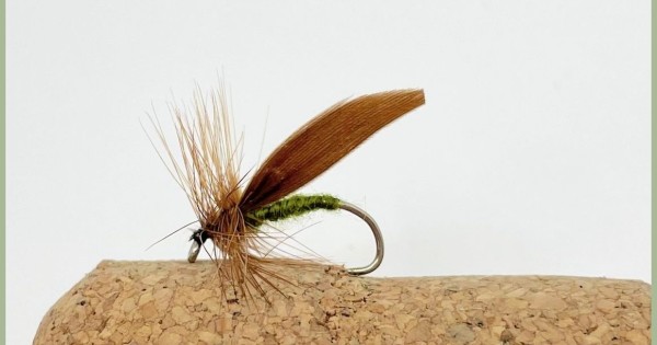 Olive Sedge Fishing Fly Troutflies UK