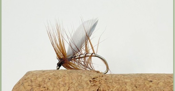 Silver Sedge Fishing Fly Troutflies UK
