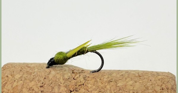 Barbless Olive Evil Weevil -Troutflies UK