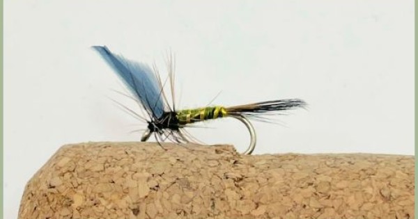 Greenwell glory winged dry trout fishing fly - troutflies uk