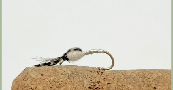 caenis nymph summer fly fishing - Troutflies UK