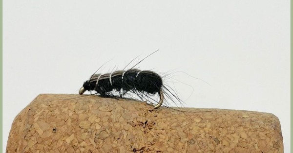 Black semtex bug czech nymph grayling trout - Troutflies UK