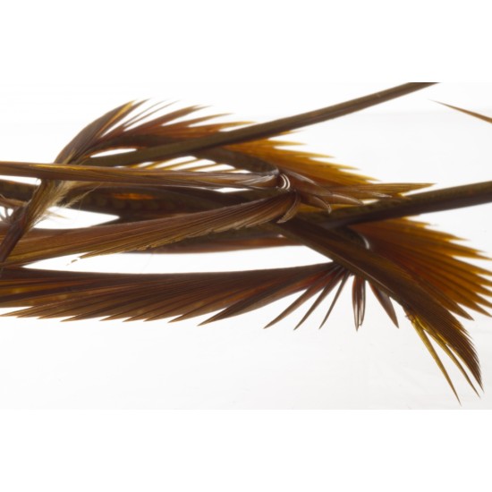 Fly Tying Goose Biot Strips -Troutflies UK