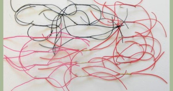 Apps worm fishig fly, pack coloured still water- Troutflies UK