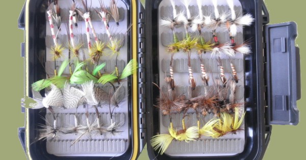 Mayfly, fishing flies, boxed set - Troutflies UK