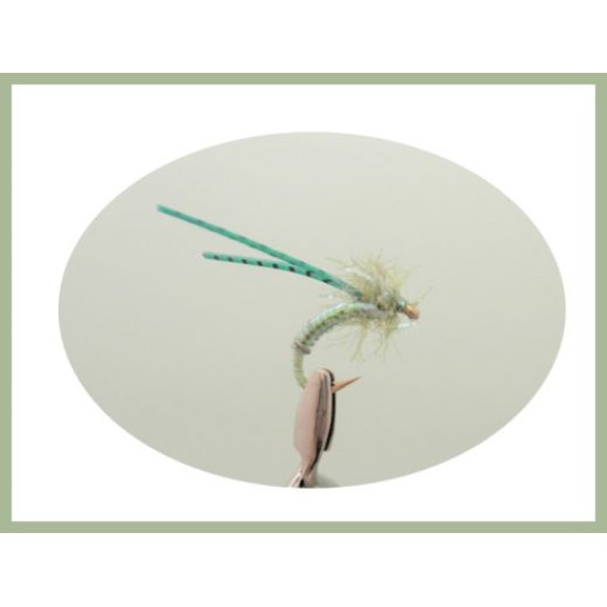 Stalking bugs, coloured - Troutflies UK