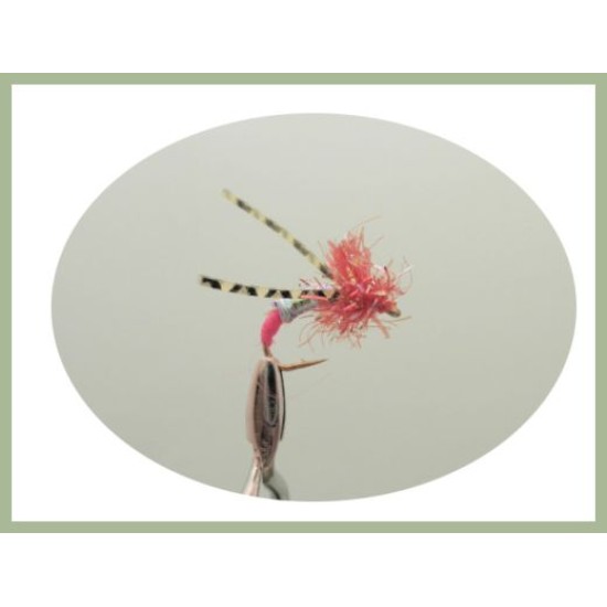 Stalking bugs, coloured - Troutflies UK