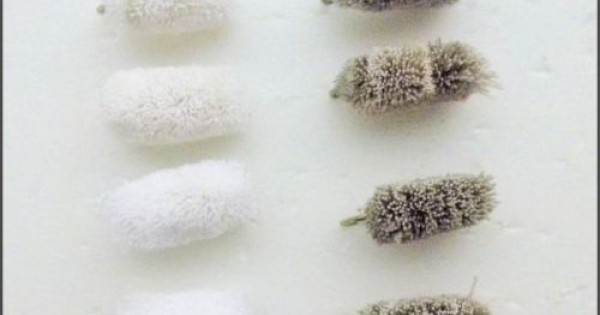 Bread fishing fly-bass carp- Troutflies UK