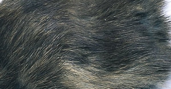 Muskrat fur fly tying - Troutflies UK