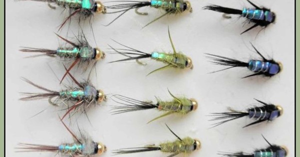 Barbless Evil Weevil Pack - Troutflies UK