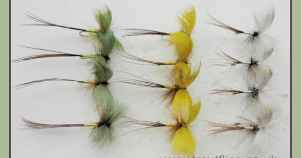 Mayflies for trout fishing, drakes and spenyt mayfly- Troutflies UK