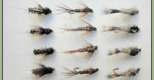 Mixed nymph Fishing flies, caenis,greenwell sedge - Troutflies UK