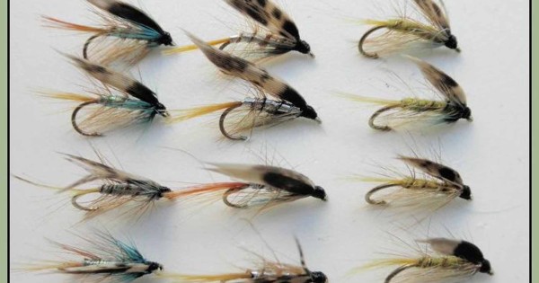 Barbless Invicta wet fishing flies, loch streams and rivers- Troutflies UK