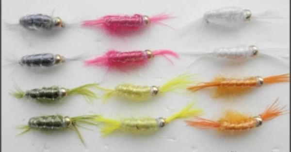 shrimp scud fly fishing rivers salmon trout - Troutflies UK