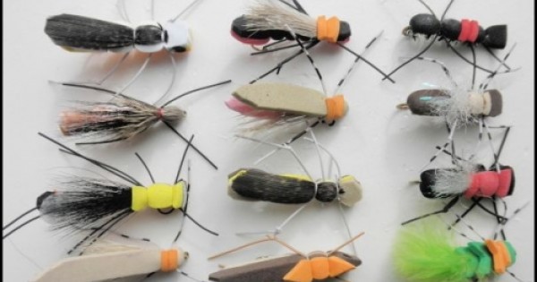 Foam bug fishing flies, floating still water- Troutflies UK