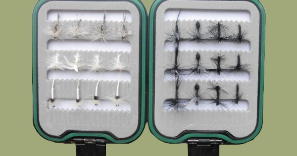 Dry Fishing flies Boxed Set