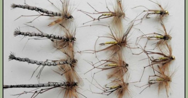 Barbless daddy long legs trout fishing flies autumn fishing flies ...